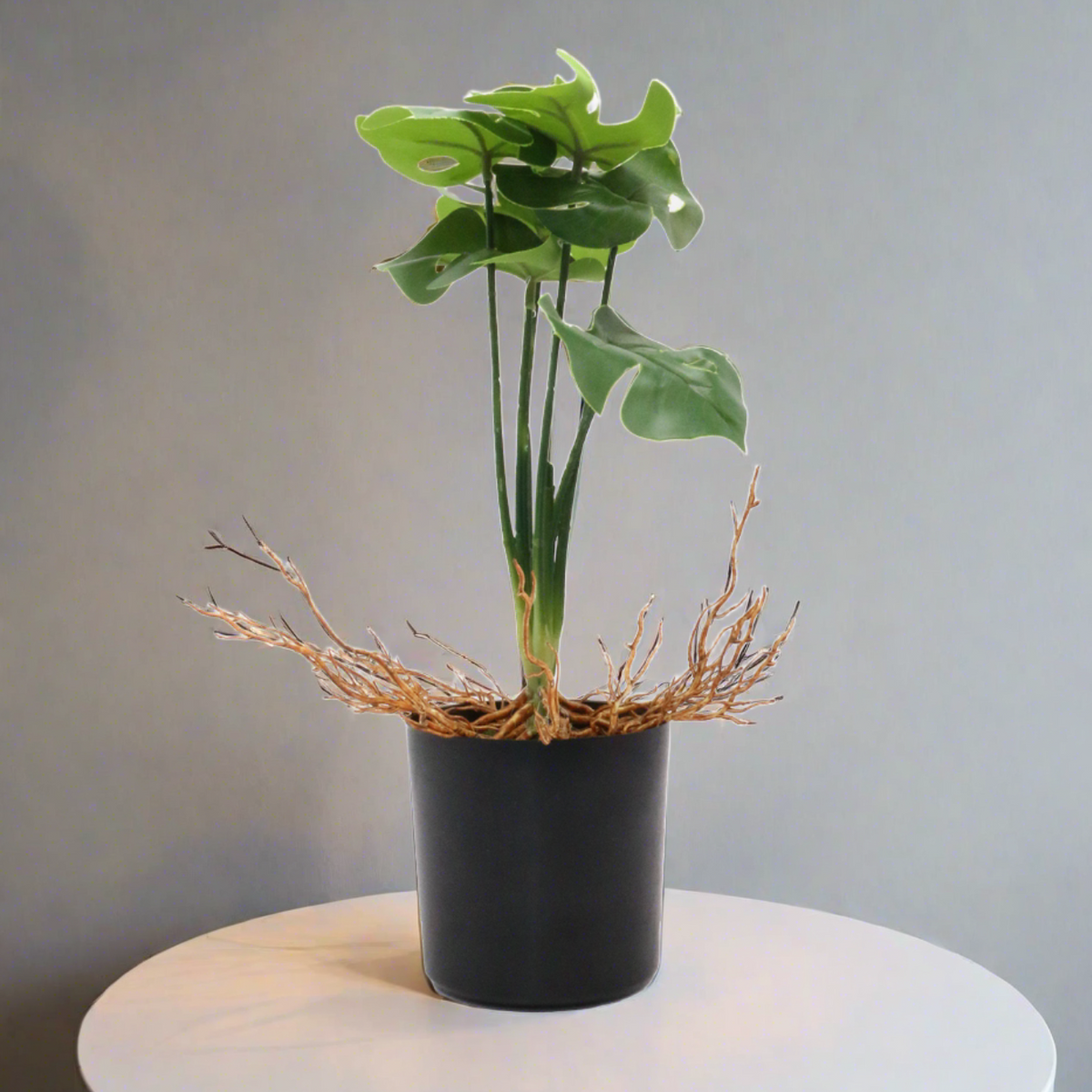green leaf & plastic pot 4"hx 13"w china d780 – KK Mart